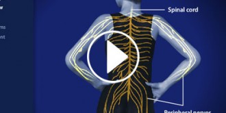 Peripheral Neuralgia | Tomoya Sakai, MD | Board Certified Pain Doctor ...